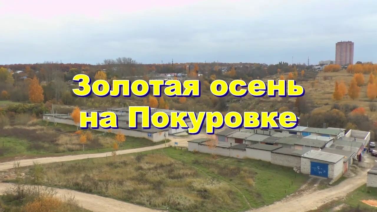 2013 10 14 Вид из лоджии на Золотую осень