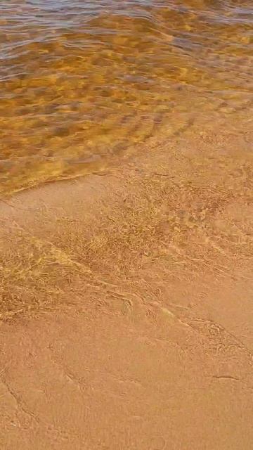 Карелия 2025. Челмужская коса. Онежское озеро. Июль 2025г (Часть 6)