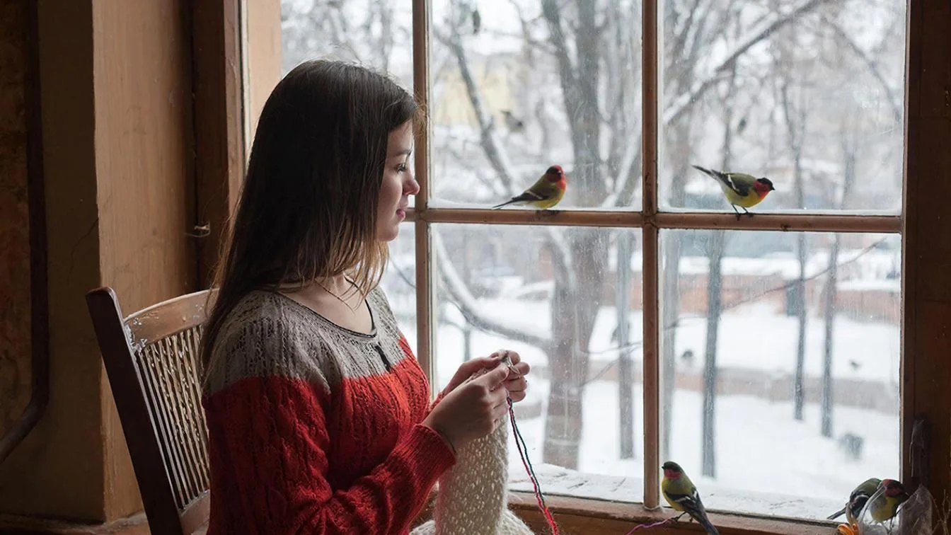 Влог 26-31.01.26