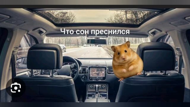 хомяк воровщик 5 серия