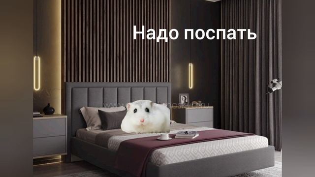 хомяк воровщик 6 серия