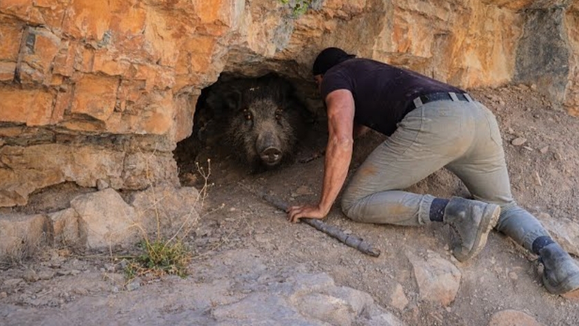 Примитивные технологии для того чтобы выжить в дикой природе.