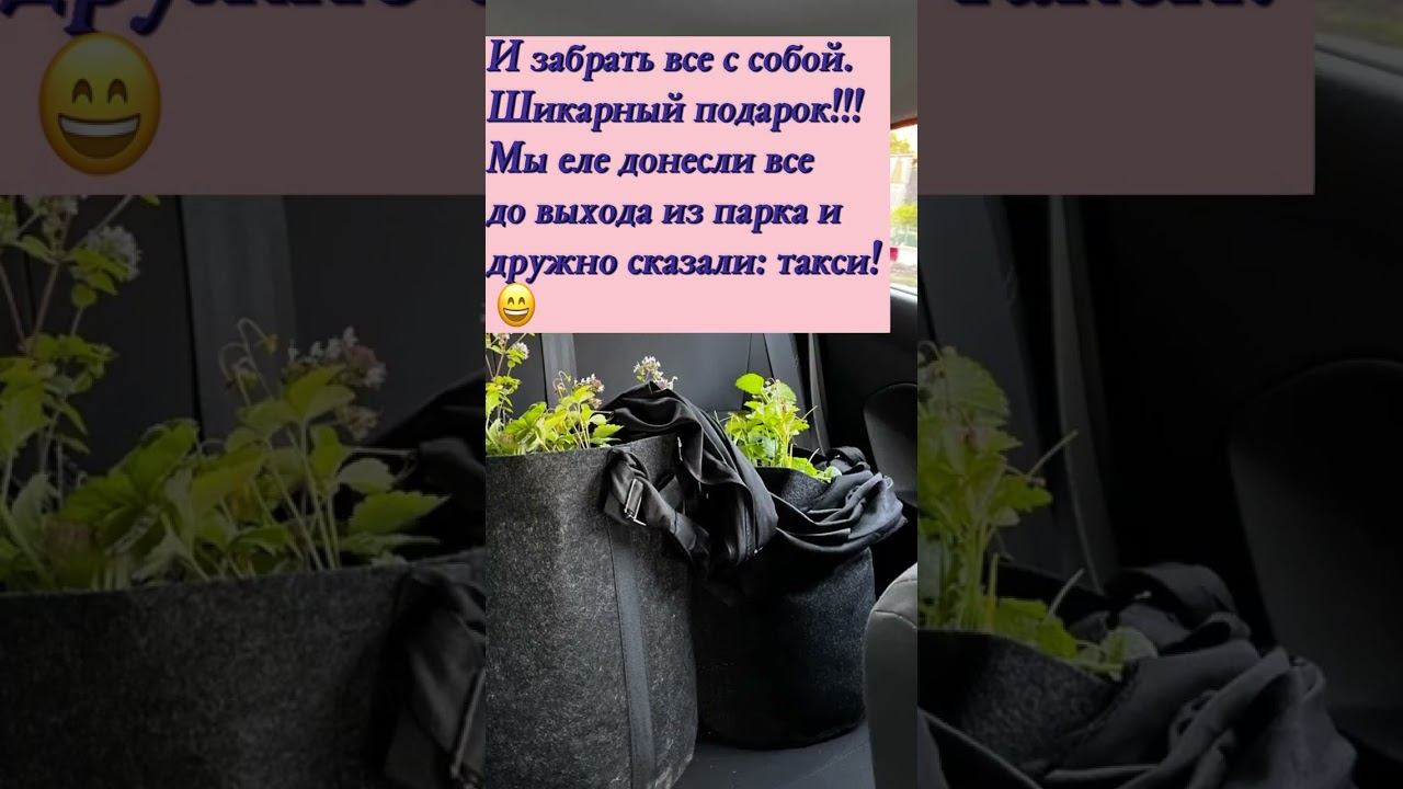 Мастер-класс "Балкон-сад", Москва, Парк Горького                         #саднабалконе #moscow #2023