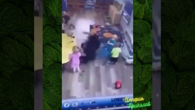 Сборник №81. Забавные и прикольные моменты из самой обычной жизни!