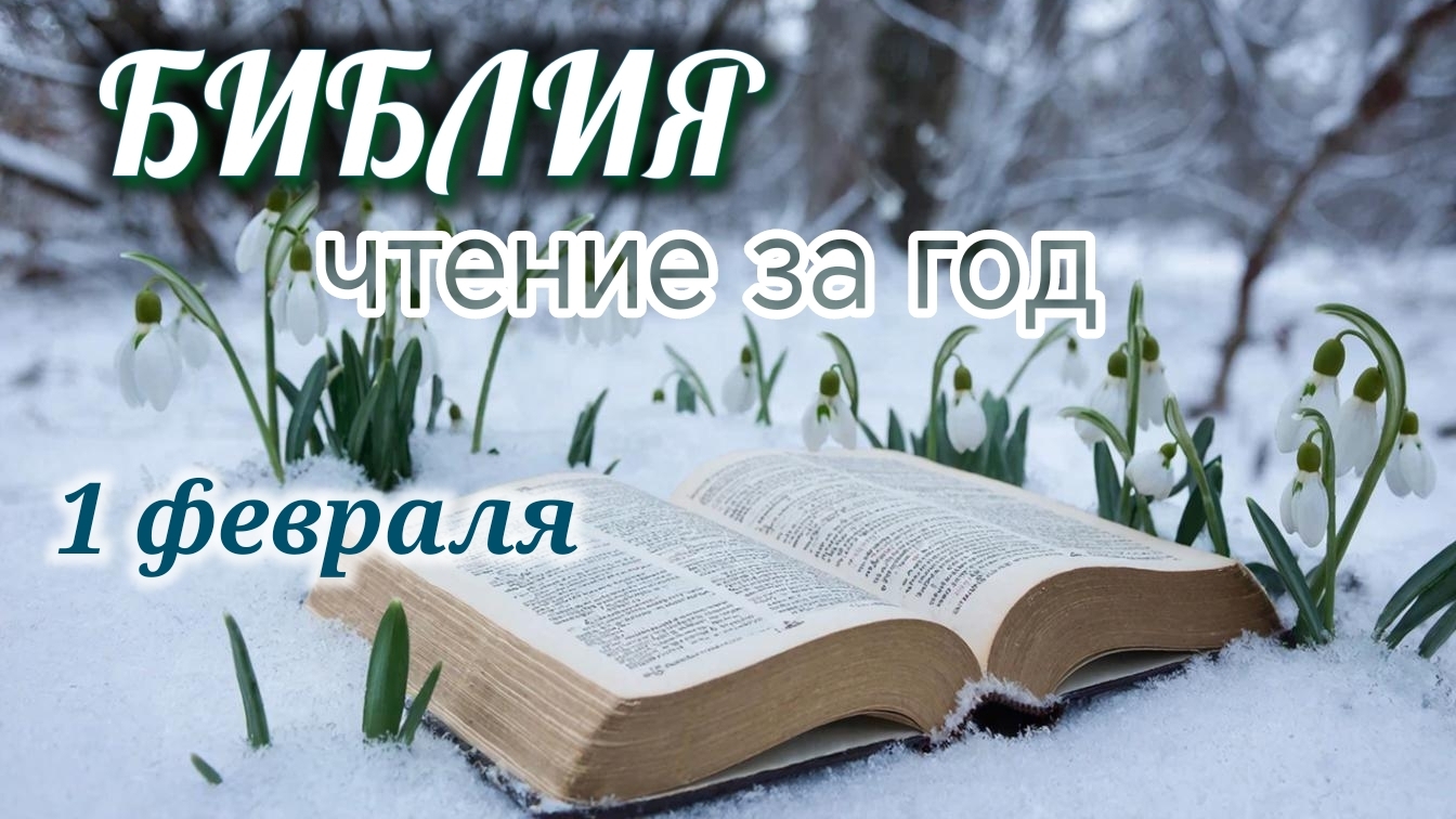 Библия - чтение за год, 1 февраля. Ежедневное чтение Библии.