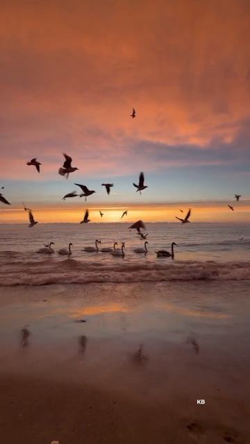 #katyboro #рекомендации #врек #топ