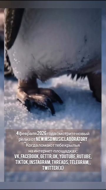 4 февраля 2026 года смотрите новый релиз от NEW MSD Music Laboratory "Ария "Когда ломают тебе крылья