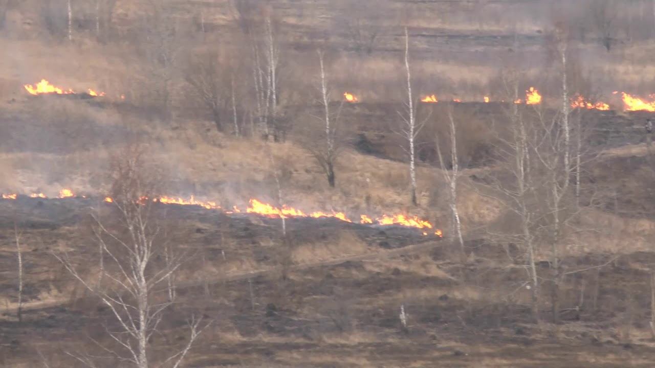 Горит трава на поле. 2014.04.20