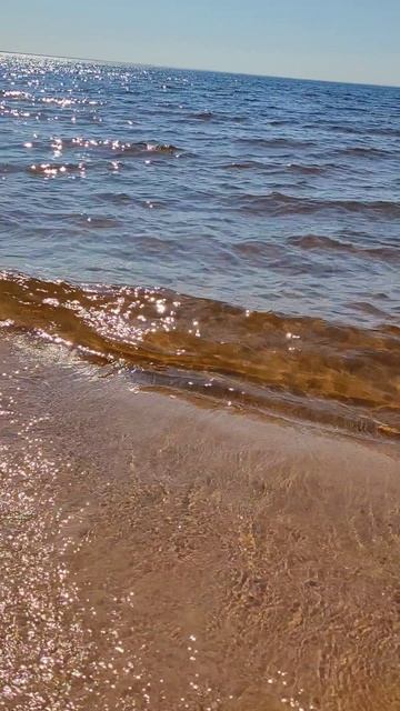 Карелия 2025. Челмужская коса. Онежское озеро. Июль 2025г (Часть 5)