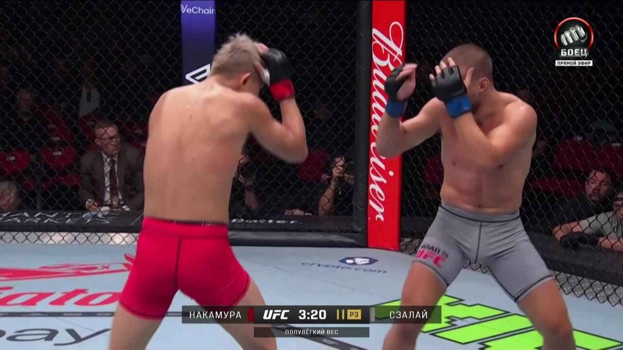 Кейичиро Накамура против Себастьяна Сзалая (видео). UFC 325