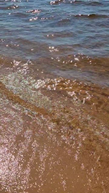 Карелия 2025. Челмужская коса. Онежское озеро. Июль 2025г (Часть 7)