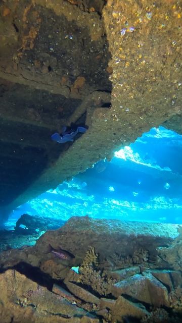 Абу Нухас Рэк-дайвинг, дайвинг в Хургаде, дайвинг в Египте