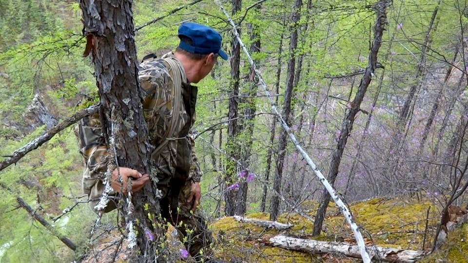 Поход в горы за каменным маслом