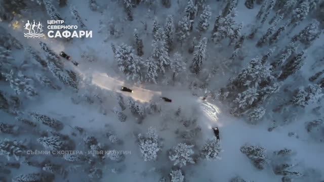 Центр северного сафари. Тур Место силы