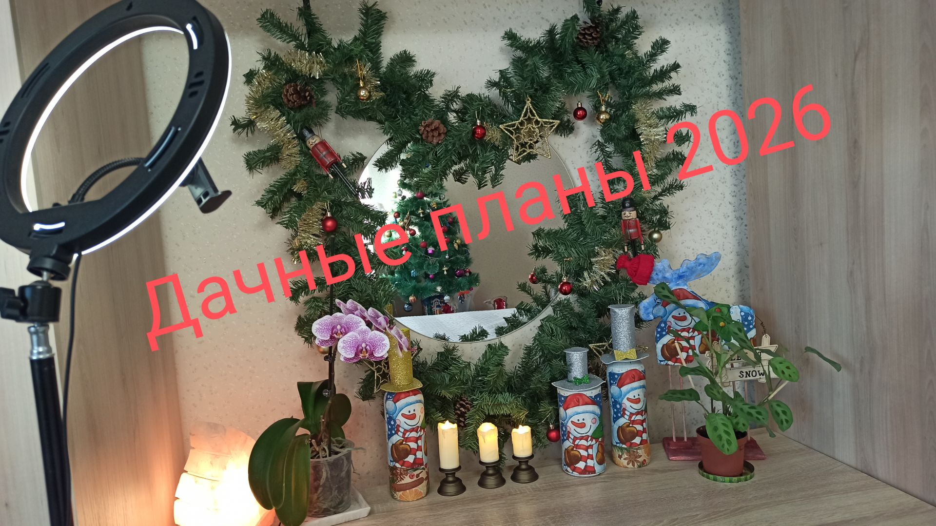 Планы на дачный сезон -2026. Что посадим?