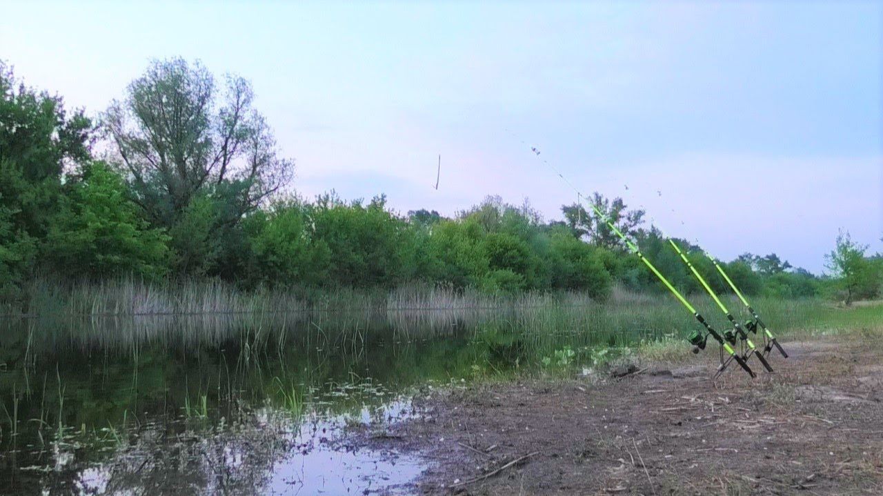 Ловил карасей... вдруг ОНО ЗАГНУЛО до самой воды!! Рыбалка на сазана, сома с ночёвкой