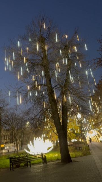 Арки и стрекозы | Любимый Краснодар