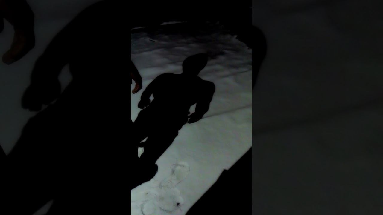 30 октября 2017 г.