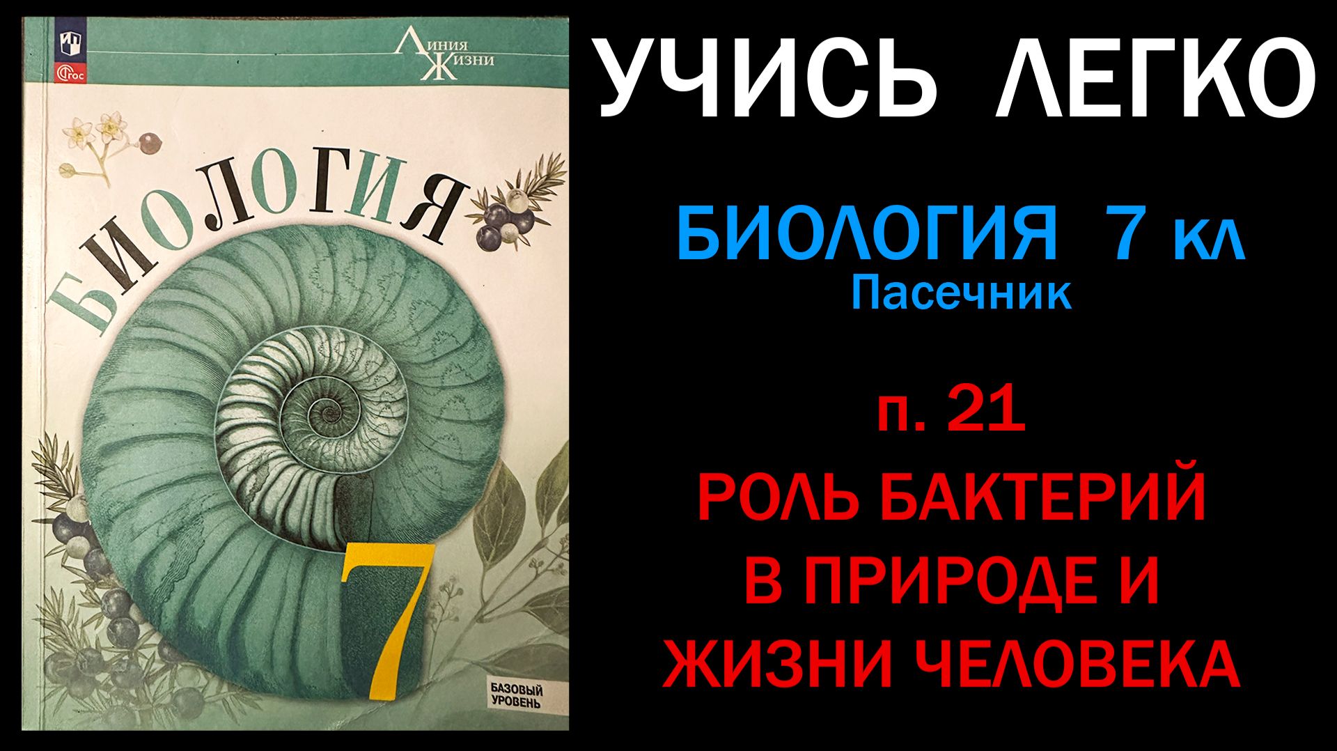 Биология 7 класс Пасечник, Суматохин параграф 21 Роль бактерий в природе и жизни человека.