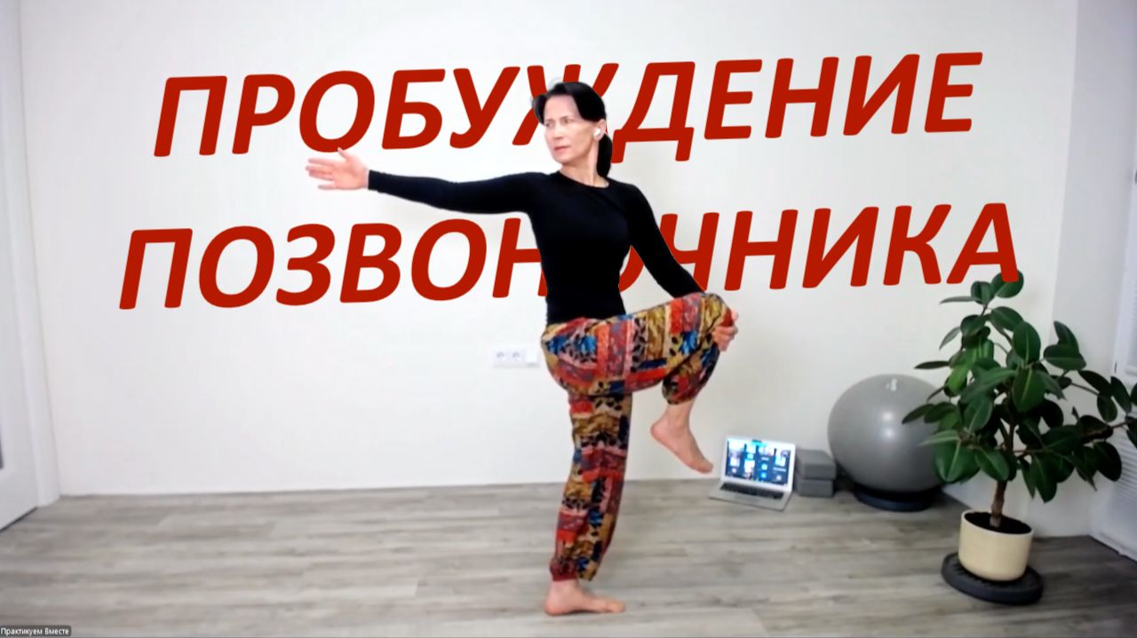 Асаны Раджадхираджа йоги | Rajadhiraja Yoga | Занятие 71