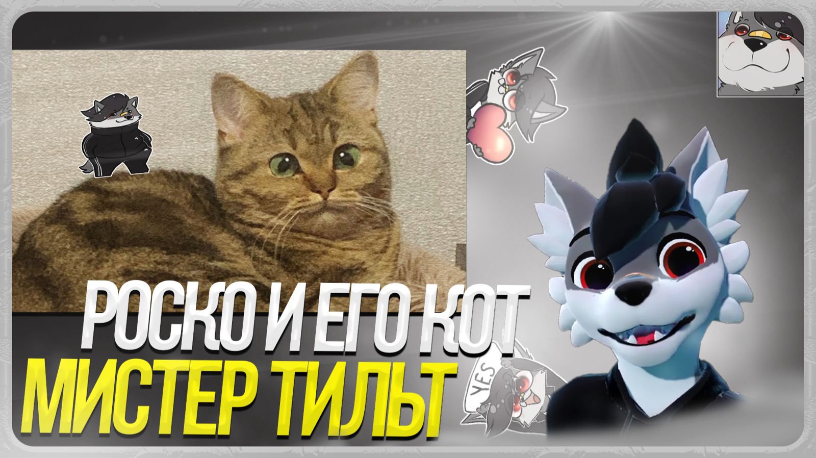 🐺 РОСКО ПОКАЗЫВАЕТ СВОЕГО КОТА - МИСТЕР ТИЛЬТ | ФОТОЖАБЫ