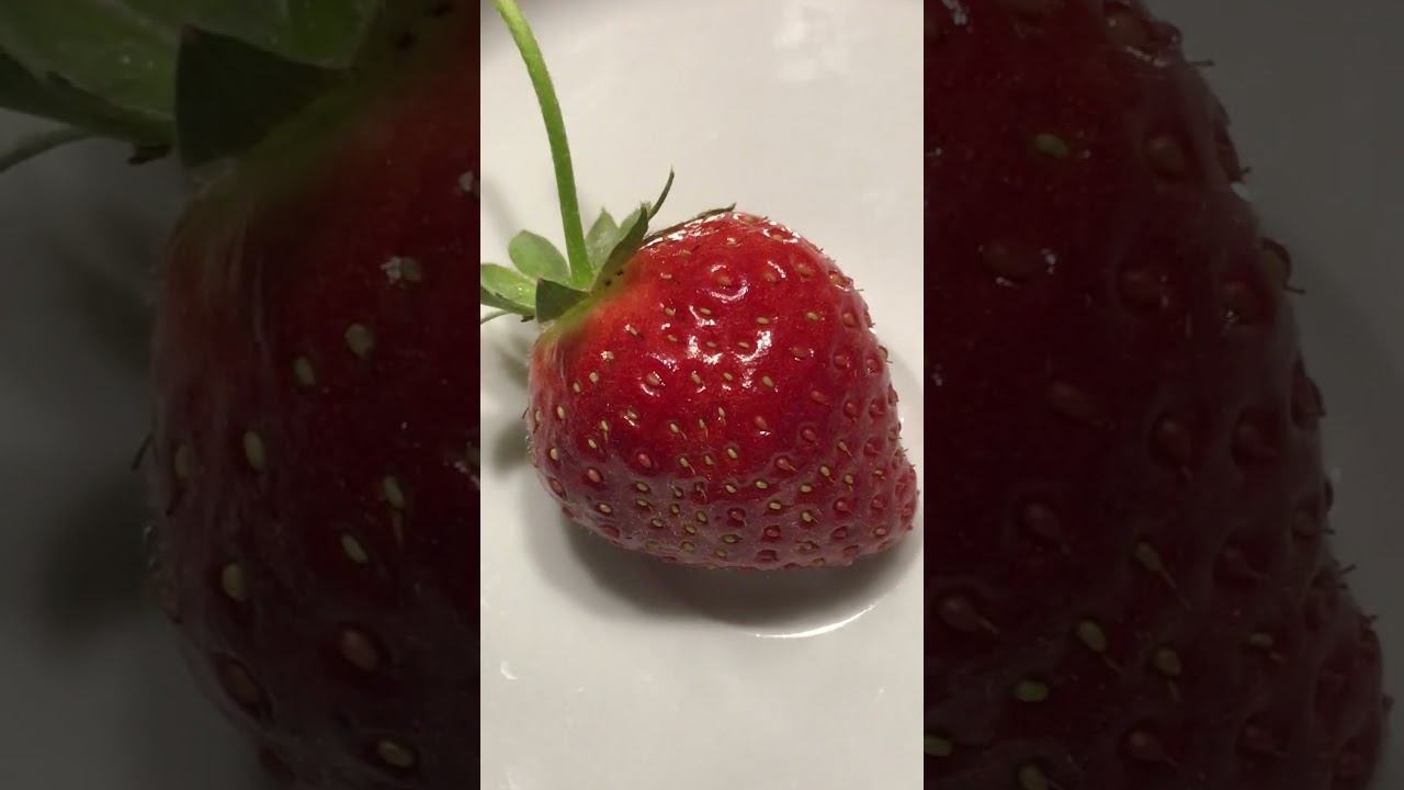 Клубника Грандиан на балконе #саднабалконе #moscow #2023