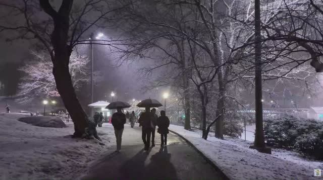 Прогулка по заснеженному Центральному парку и Пятой авеню, Нью-Йорк ⛄❄️  Январь 2026