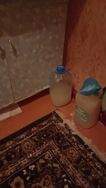 video_20260130_181515