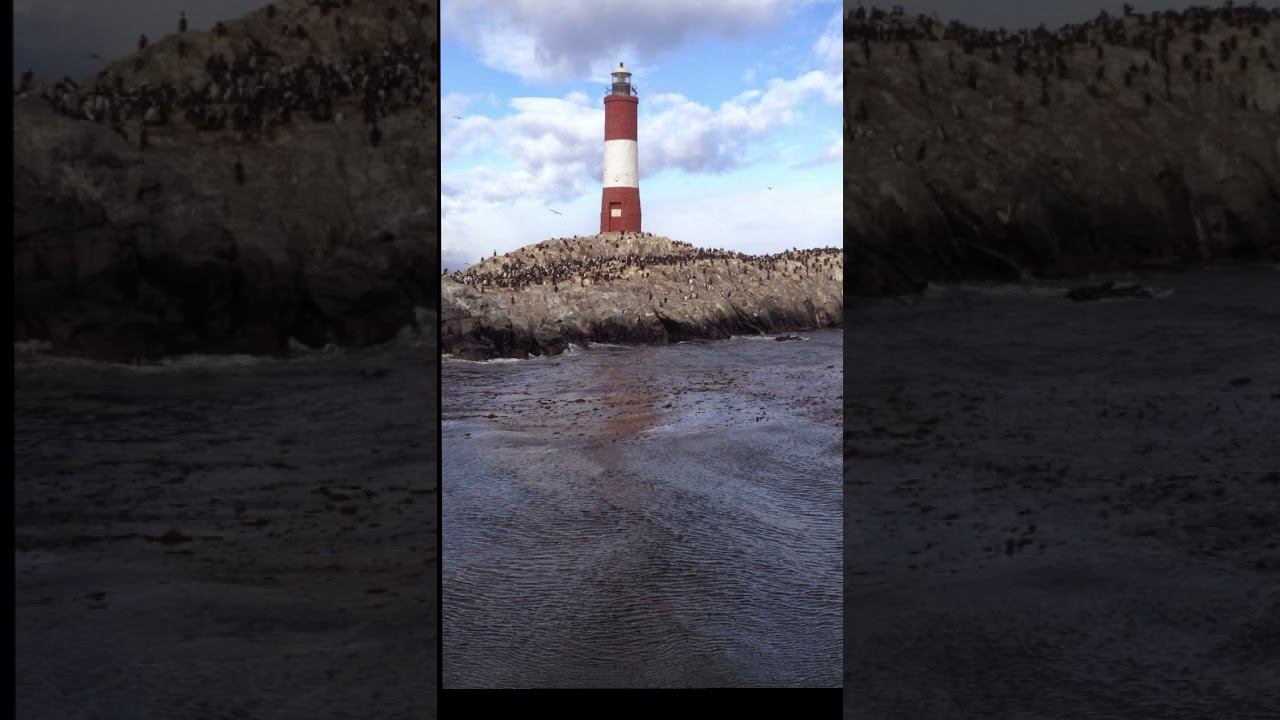 Национальный парк  Terra Del Fuego: обитатели пролива Бигл. Ушуайя, Аргентина.