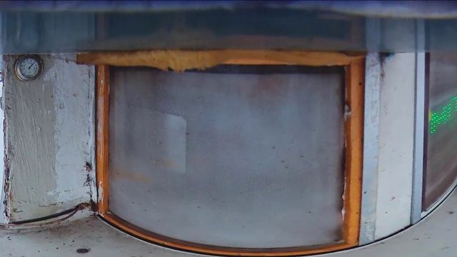 Под окном 2026 янв 28 синица отмороженный клюв