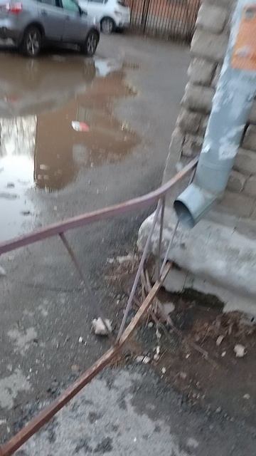 №1047 Двор Г. Звезда 73-Красноармейская 52 19 ноября 2025 г., 16:53:47 VID_20251119_165316021