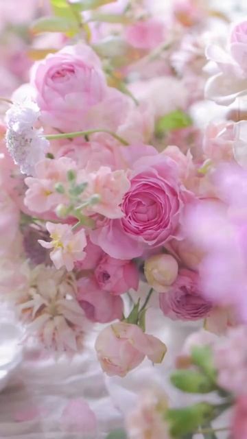 Канон Любви.