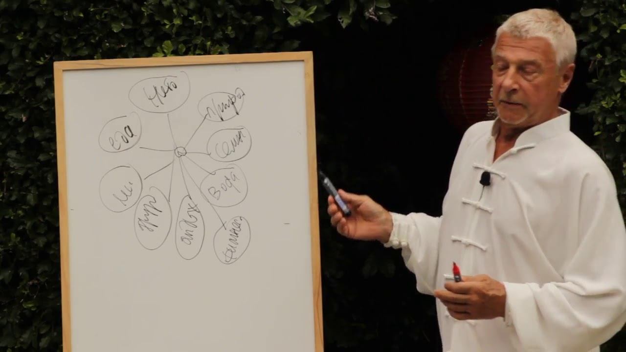 Лекция о законах циркуляции Ци в Цигун, Нэйгун и Тайцзи  Игорь Красулин1