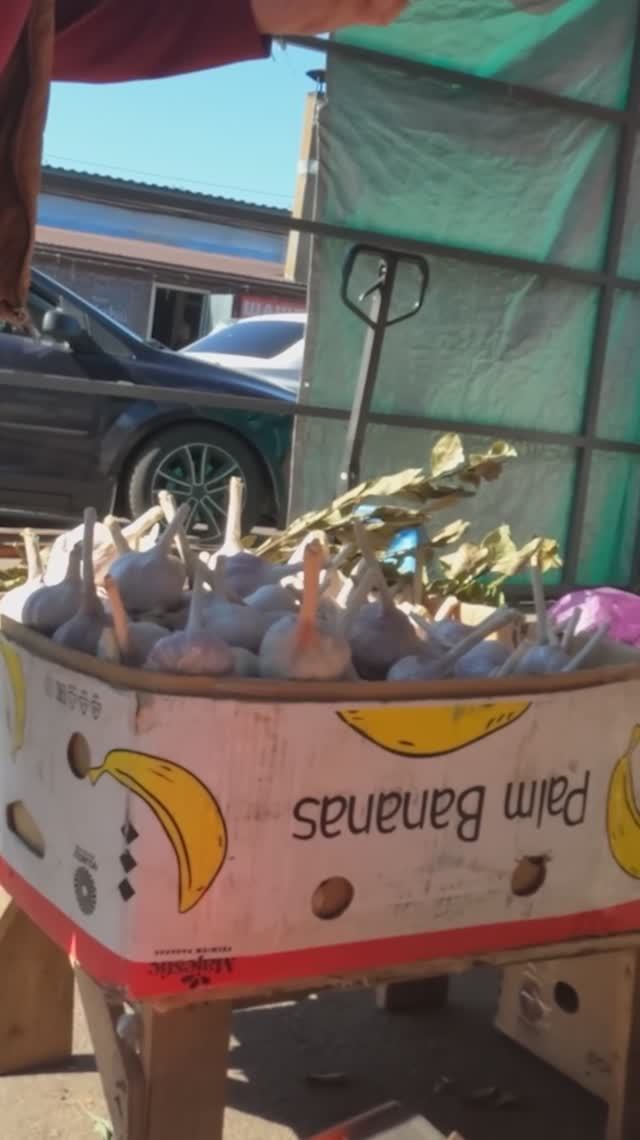 Почём чеснок? #чеснок #китайскийчеснок #русскийчеснок #купитьтехнику #сельскоехозяйство