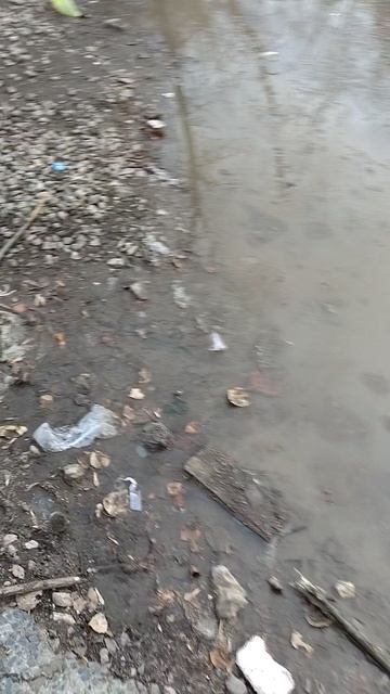 №1075 Двор Г. Звезда 73-Красноармейская 52 20 ноября 2025 г., 15:55:33 VID_20251120_155502511