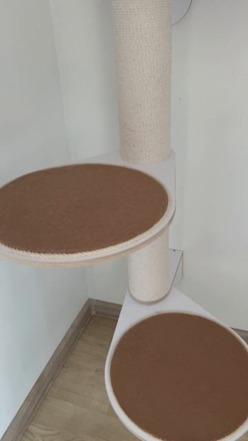 видео люкс семейный