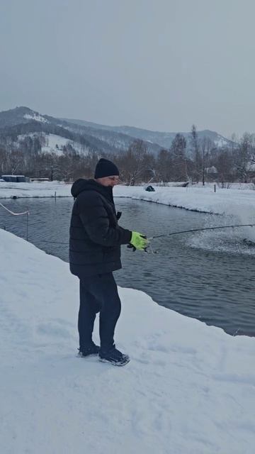 Форель на вертушку Pontoon 21 на каждом забросе #рыбалка #форель #форельнаспиннинг  #рыбалканаозере