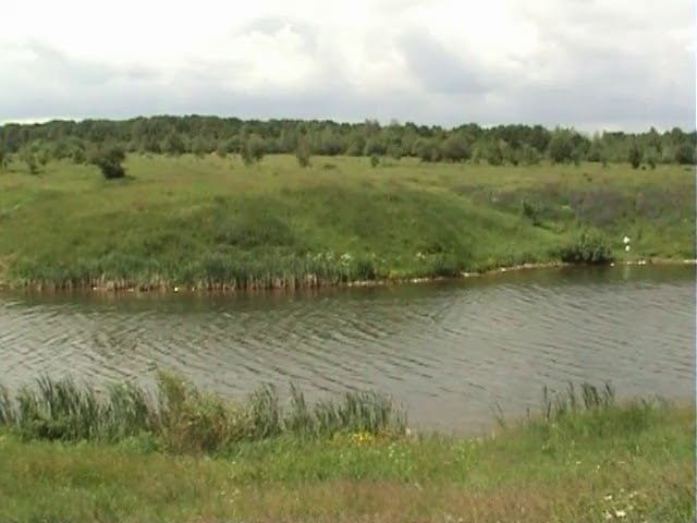 Прогулка к Прокуровскому пруду. 2008.06.07
