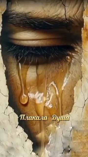 #katyboro #рекомендации #топ #видео