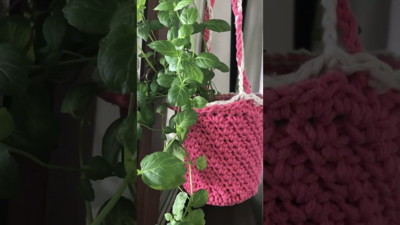 Новое кашпо и маленькие растения