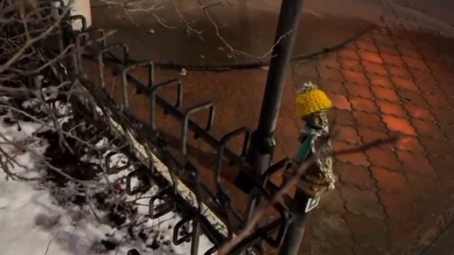 БОУ УР "Столичный лицей им. Е.М. Кунгурцева"