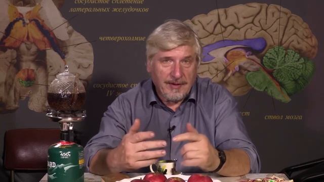 Основной источник энергии в организме