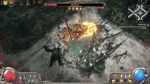 Пое 2 Друид Танк Vs Древокорень