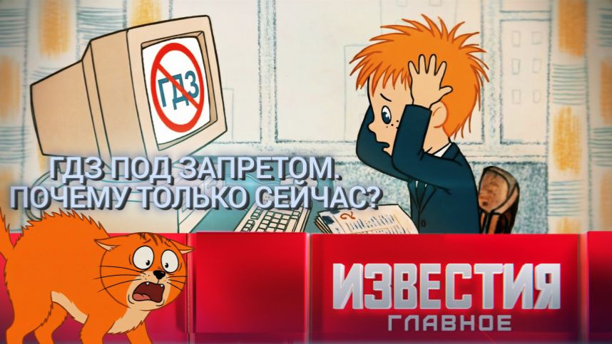 ГДЗ под запретом. Почему только сейчас?