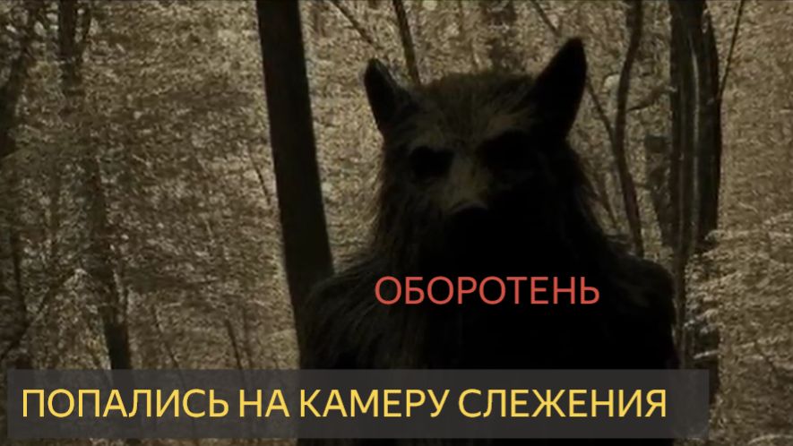 Я запечатлел самую жуткую встречу с оборотнями в Мичигане на камеру слежения