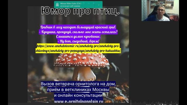 Юмор про птиц. Выпуск № 4.