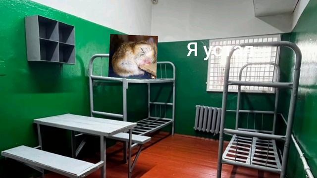 хомяк воровщик 4 серия