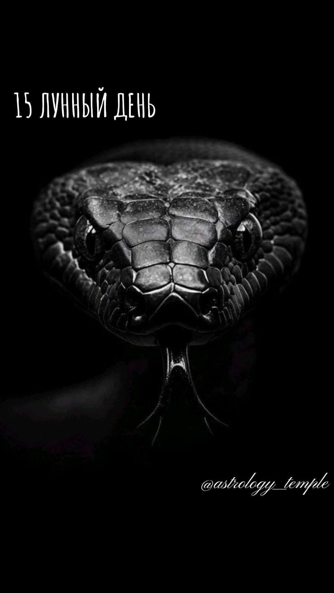 📅 ПН, 2.02.2026 🌛 15 лунный день | Полнолуние во Льве (1:09)  🪄