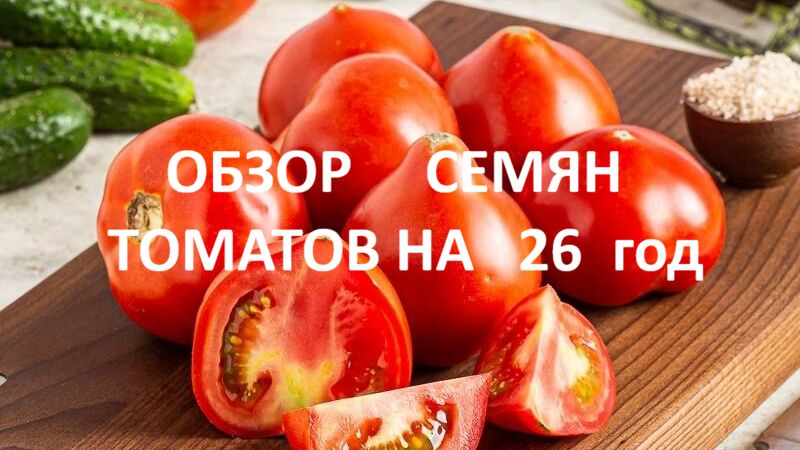 Обзор семян  томатов на 26 год.