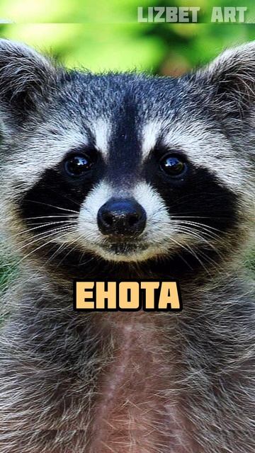 Рисую несуществующее животное🦝+🐪=❓(ч.122) #tiktok #shorts #art #gouach